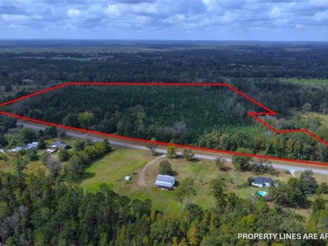 Mobile Rd, Greenville, AL 36037
