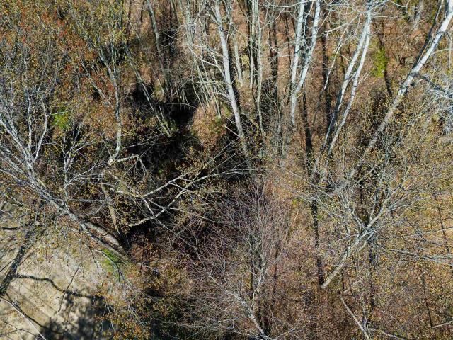 Moccasin Trail # 616