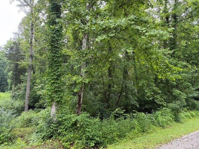 Mockingbird Trl, Catlettsburg, KY 41129