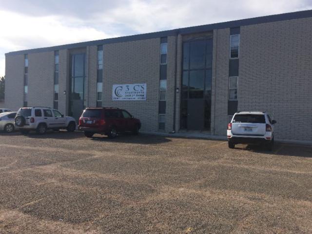 Modern 1 Bed 1 Bath Apartment steps from WTAMU