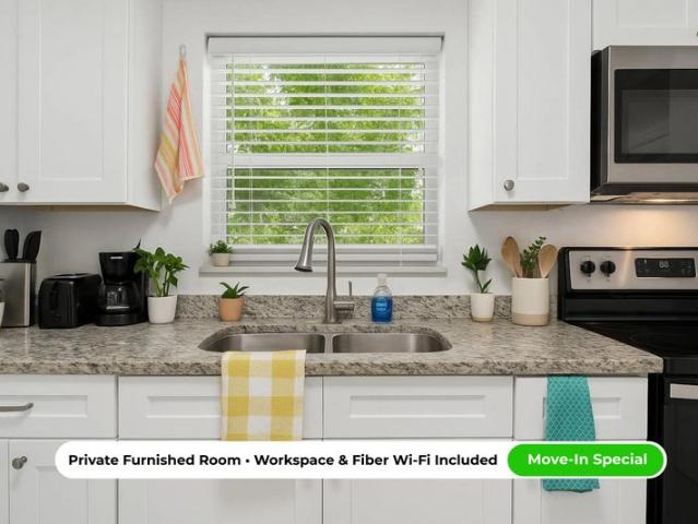 Modern CoLiving near Downtown St. Pete, USF St. P