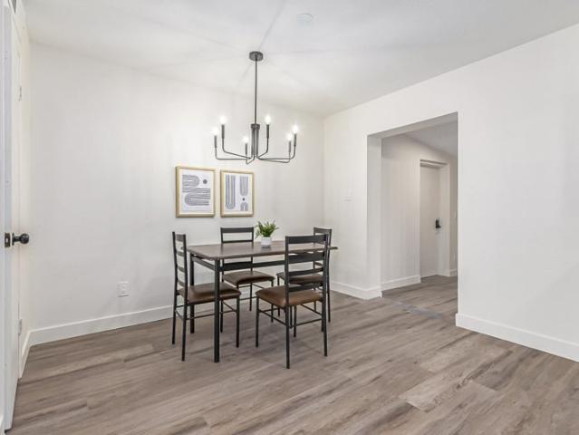Modern & Beautiful Room for Rent in Mesa House wit