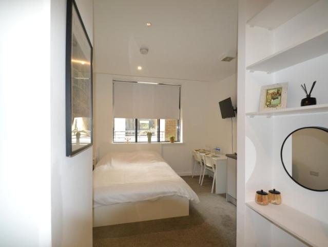Modern, bright studio apartments in Kingston