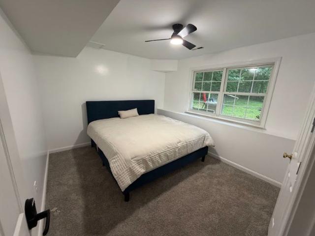 Modern Furnished Living on 2 Private Wooded Acres