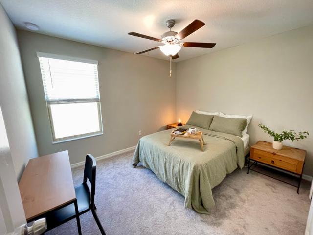 Modern Furnished Room| Brandon Tampa | 5 min I 75