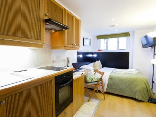Modern Furnished Studio in Euston, Zone 1 Ucl Uclh