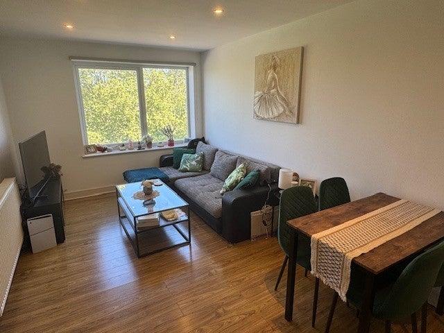 Modern one bed flat, Wick Lane, Bow E3