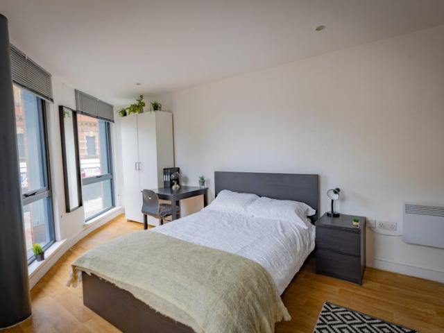 Modern Spacious Studios