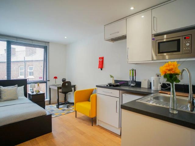 Modern Spacious Studios