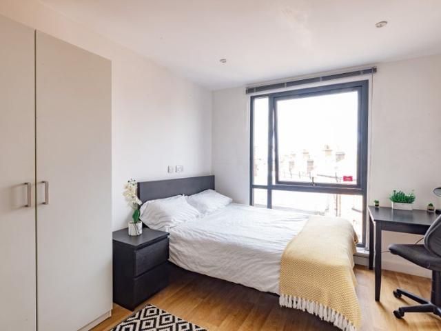 Modern Spacious Studios