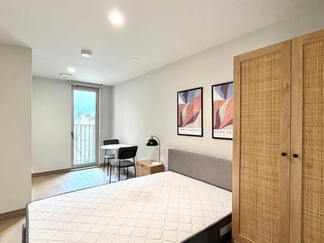 Modern Studio: Available NOW, Roof Terrace