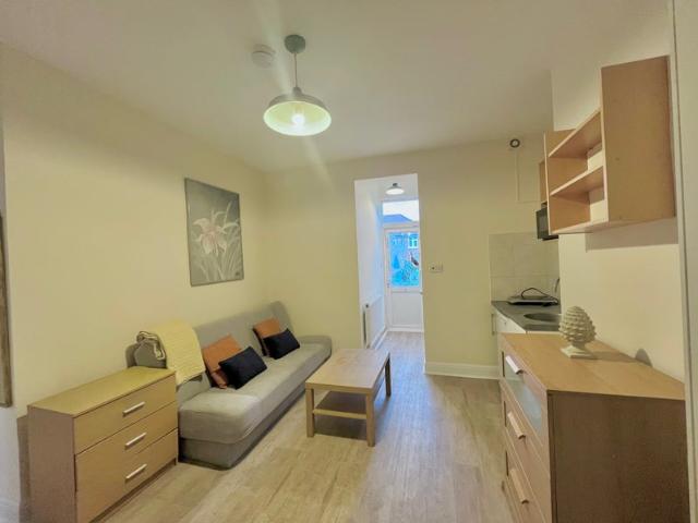 Modern studio with garden access