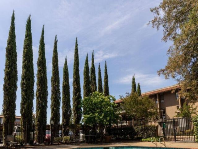 Modera Apartments 1 Bedroom Apartment for Rent at 1704 Clayton Rd, Concord, CA 94520 Ellis Lake