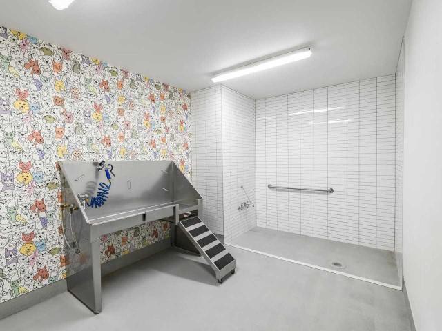 Modera Northgate 1 Bedroom Apartment for Rent at 10631 8th Ave Ne, Seattle, WA 98125 Maple Leaf