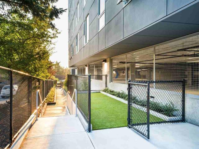 Modera Shoreline Studio Apartment for Rent at 17888 Linden Ave N, Shoreline, WA 98133