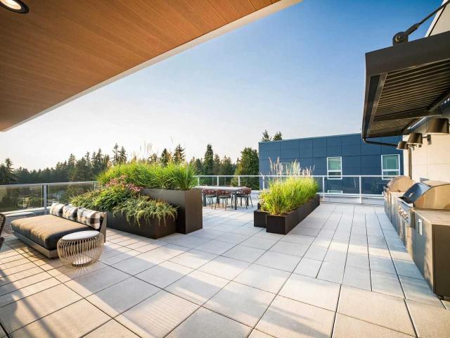 Modera Shoreline 1 Bedroom Apartment for Rent at 17888 Linden Ave N, Shoreline, WA 98133