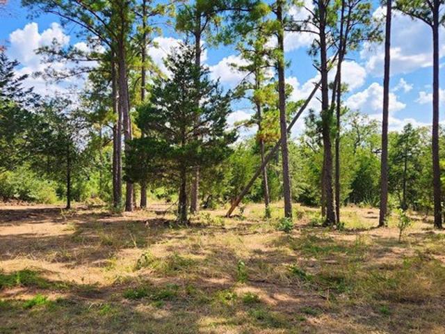 Modock Dr, Bastrop, TX 78602