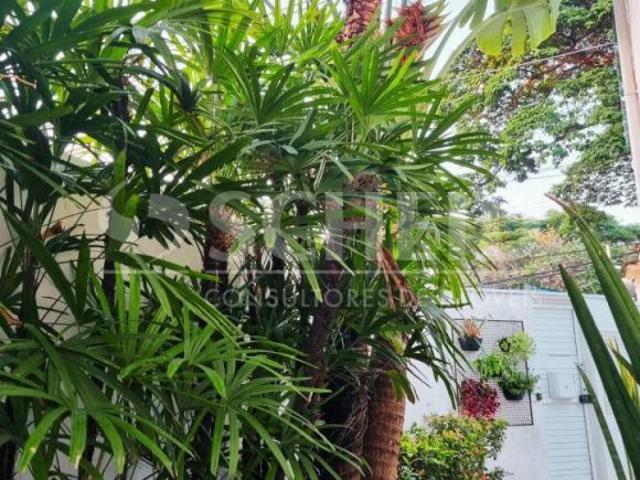 MOEMA Jardim Novo Mundo