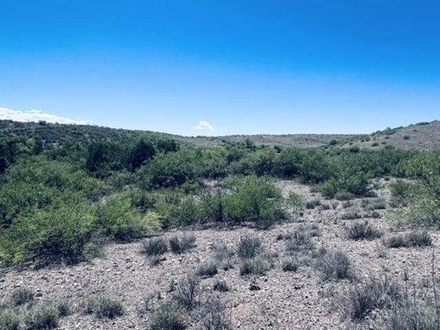 Mogollon Vista Ests Lot 17, Cliff, NM 88038