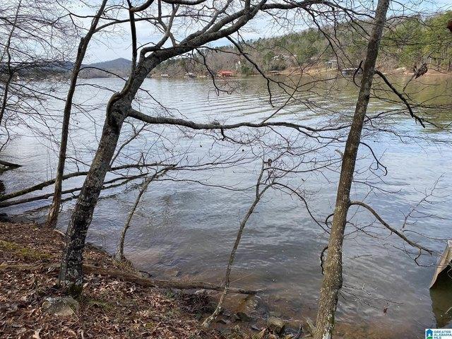 Mohawk Cliff Rd Lot 5, Ohatchee, AL 36271