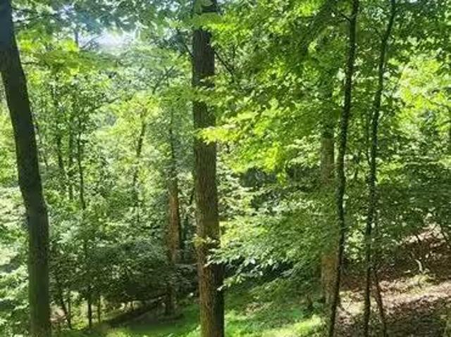 Mohawk, Ellijay, GA 30540 654335987