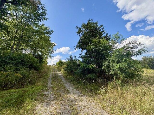 Mohawk Rd, Lincoln, Plot For Sale