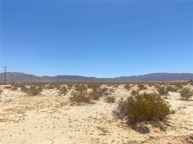 Mojave, Twentynine Palms, CA 92277