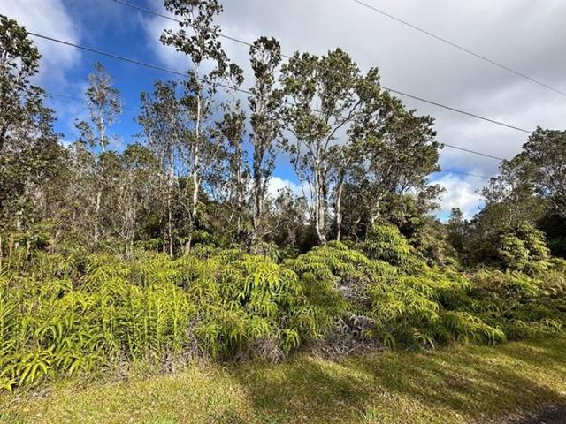 Mokuna St, Volcano, HI 96785