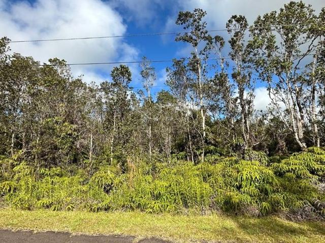 Mokuna St, Volcano, HI 96785