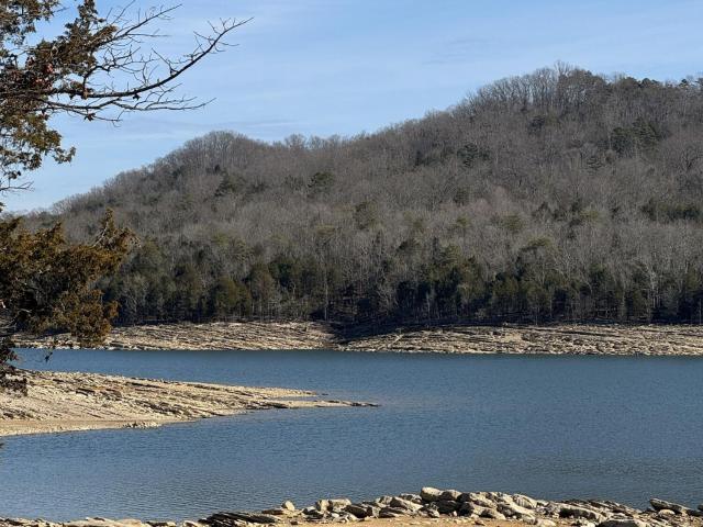 Molly Hollow Rd, New Tazewell, TN 37825