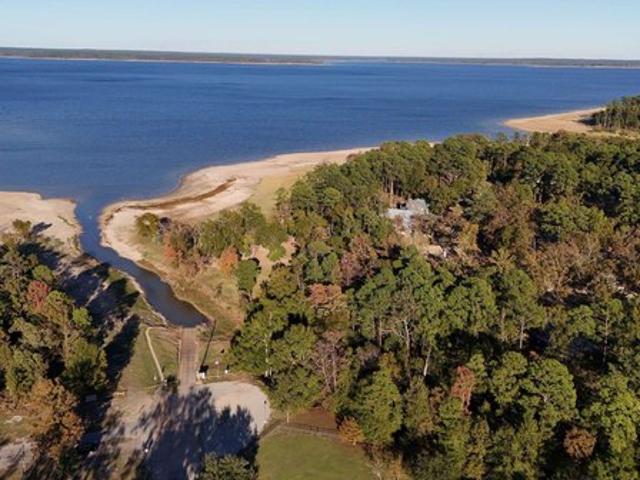 Mollywood Rd, Zavalla, TX 75980