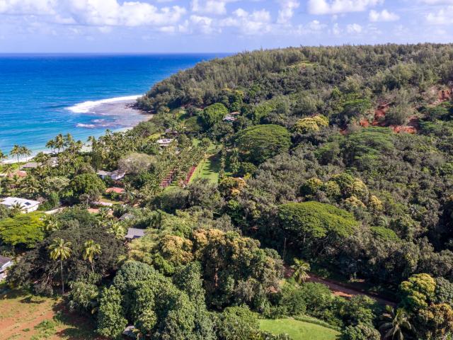 Moloaa Rd, Kilauea, HI 96754 | MLS #727021