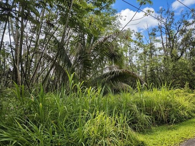 Molokai Rd, Pahoa, HI 96778