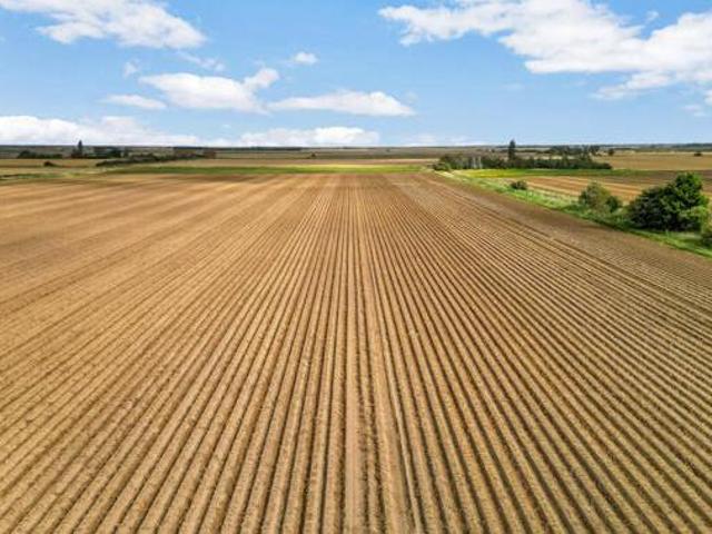 Morton, Morton Fen, Bourne, Land For Sale