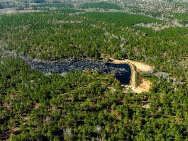 Morton Rd, Dublin, GA 31021