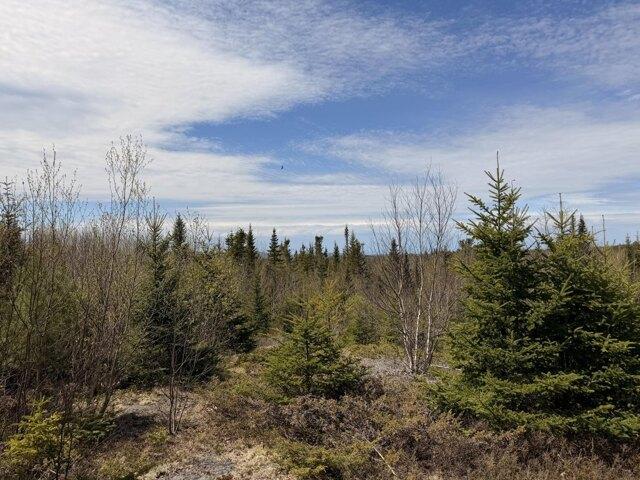 Morancy Rd, Sullivan, Plot For Sale
