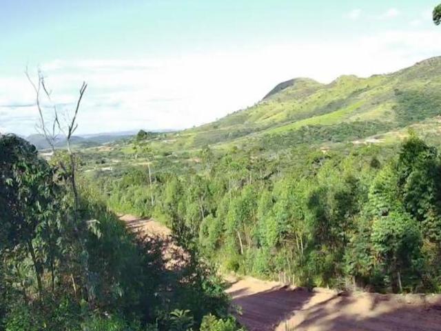More Bem: Terreno em São Roque com Segurança e Contato com a Natureza!Dentro da Rota do Vinho!