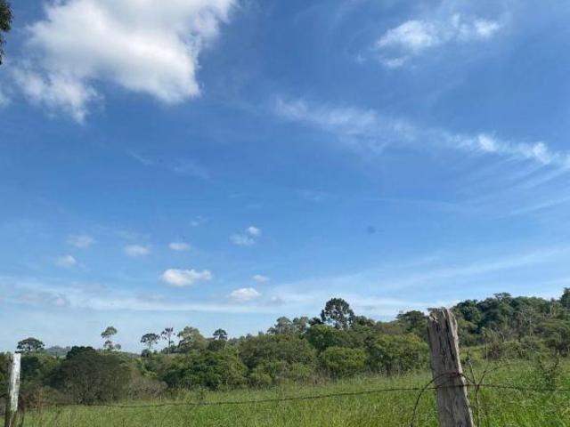 More Cercado pela Natureza em Ibiúna