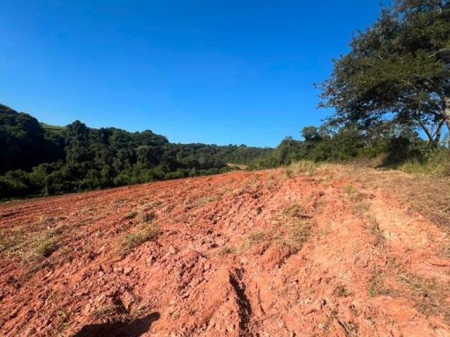 More Junto à Natureza | Terrenos de 500 m² no Bairro Colégio