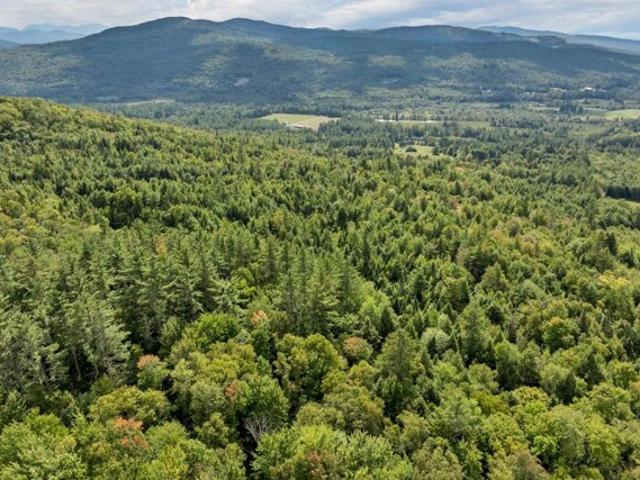 Morel Rd Lot,lancaster, Plot For Sale