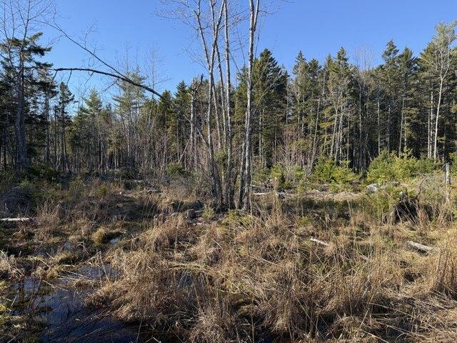 Morgan Bay Rd, Surry, Plot For Sale