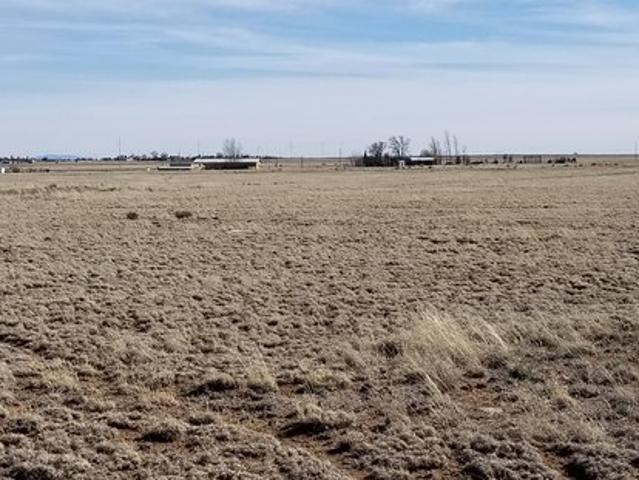 Moriarty, NM 87035