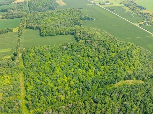 Moritz Ln, Arkansaw, WI 54721