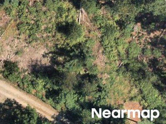 Mormon Church Rd