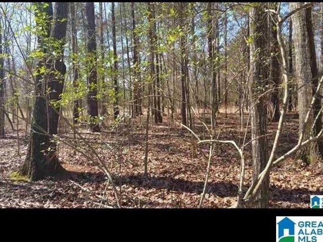 Morning Glory Cir Lot 10, Talladega, AL 35160