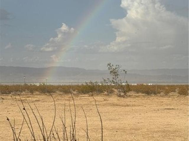 Morongo, Twentynine Palms, CA 92277