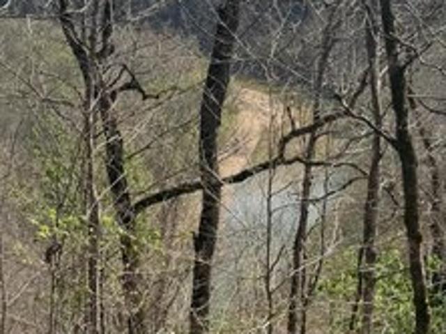 Morris Cemetery Rd, Hyden, KY 41749