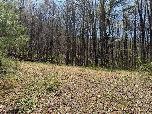 Morris Branch Rd, Meadow Bridge, Plot For Sale