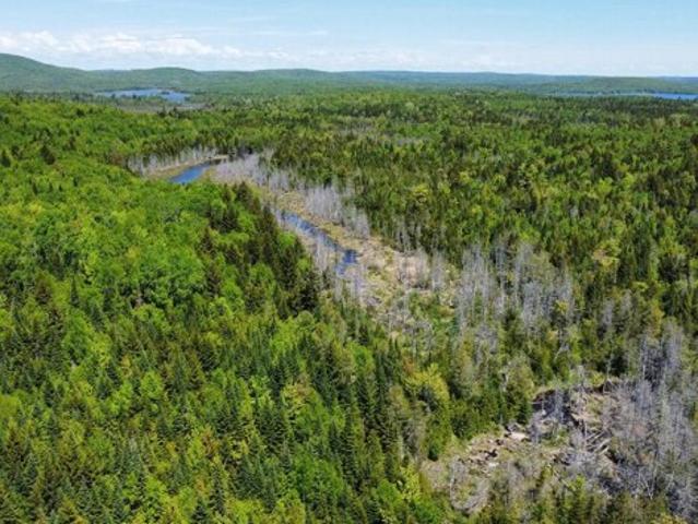 Morrison Acres Brk Lot,oakfield, Plot For Sale