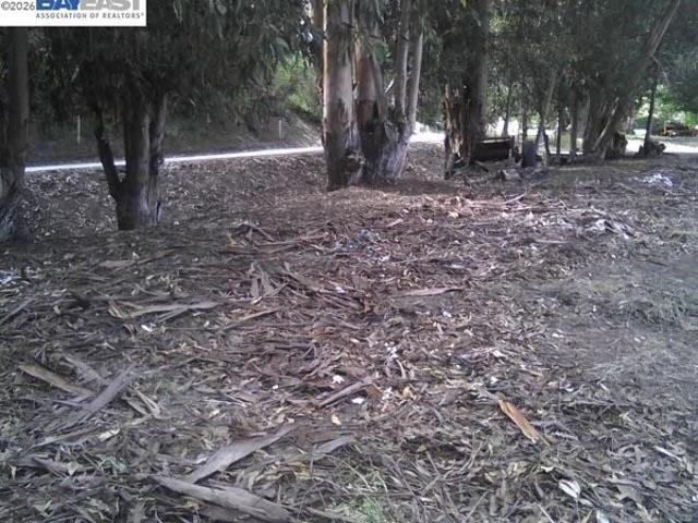 Morrison Canyon Rd, Fremont, CA 94536